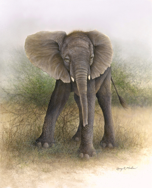 African Big Game by Larry K. Martin