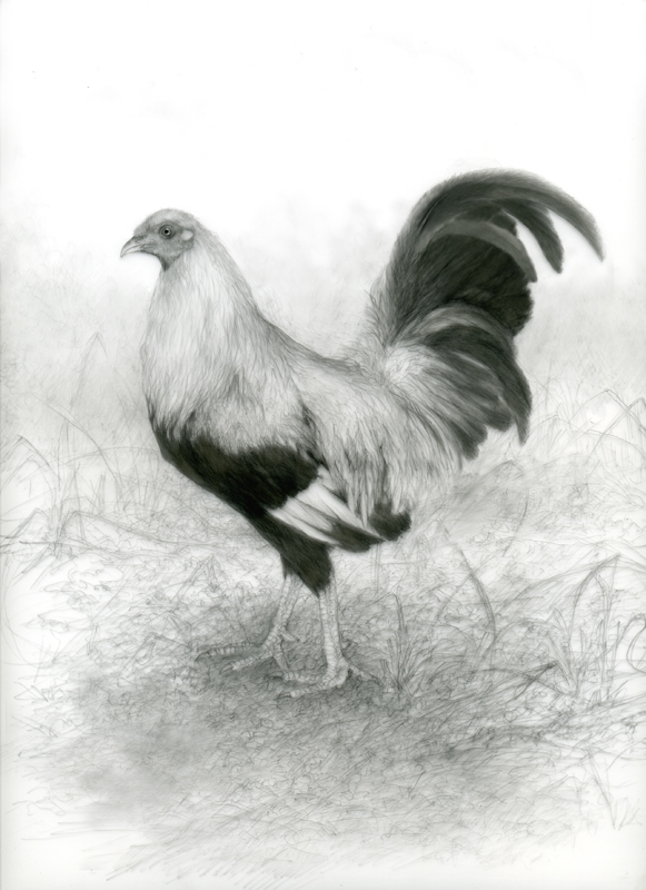 Larry K. Martin Originals