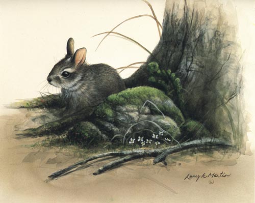 A Whimsical Look at Nature's Critters, art by Larry K. Martin